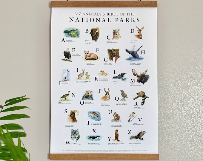 Set of Four National Park Prints | Any 4 National Park Posters ...