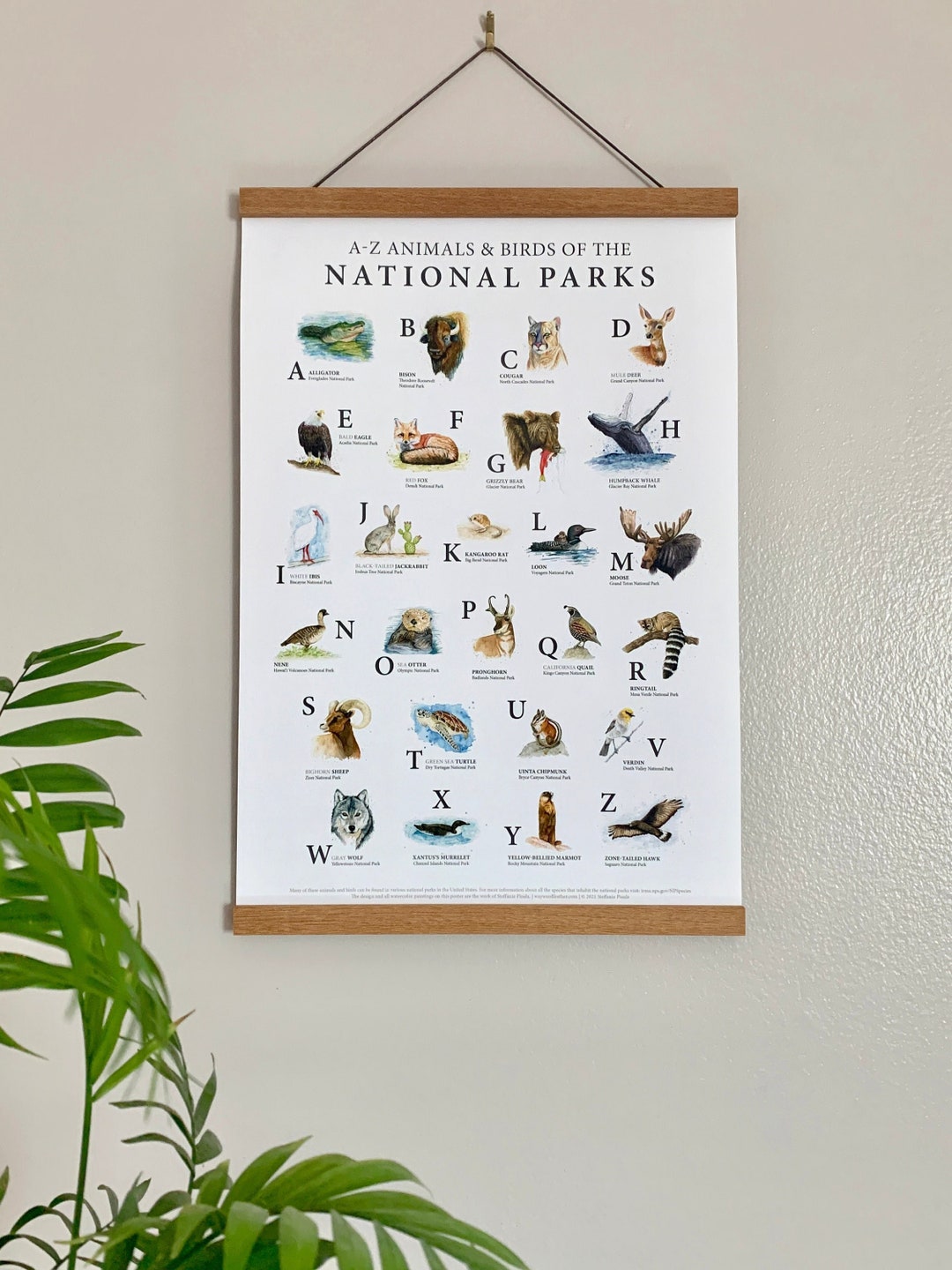 A-Z National Park Animals and Birds Poster - Etsy