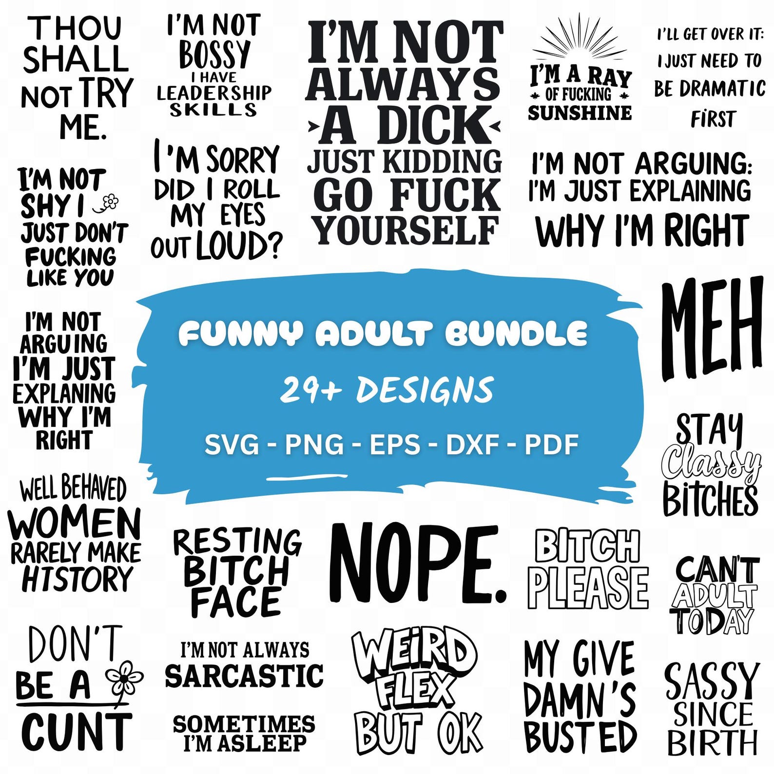 Adult Svg Bundle, Funny Adult Bundle, Adult Quotes Svg, Funny Quotes ...