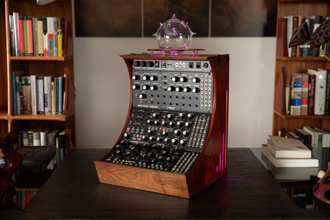 Moog Rack With Responsive Lighting - Etsy