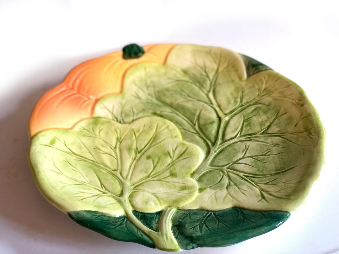 Large Siléa Earthenware Plate With a Floral Motif of Green Leaves and ...