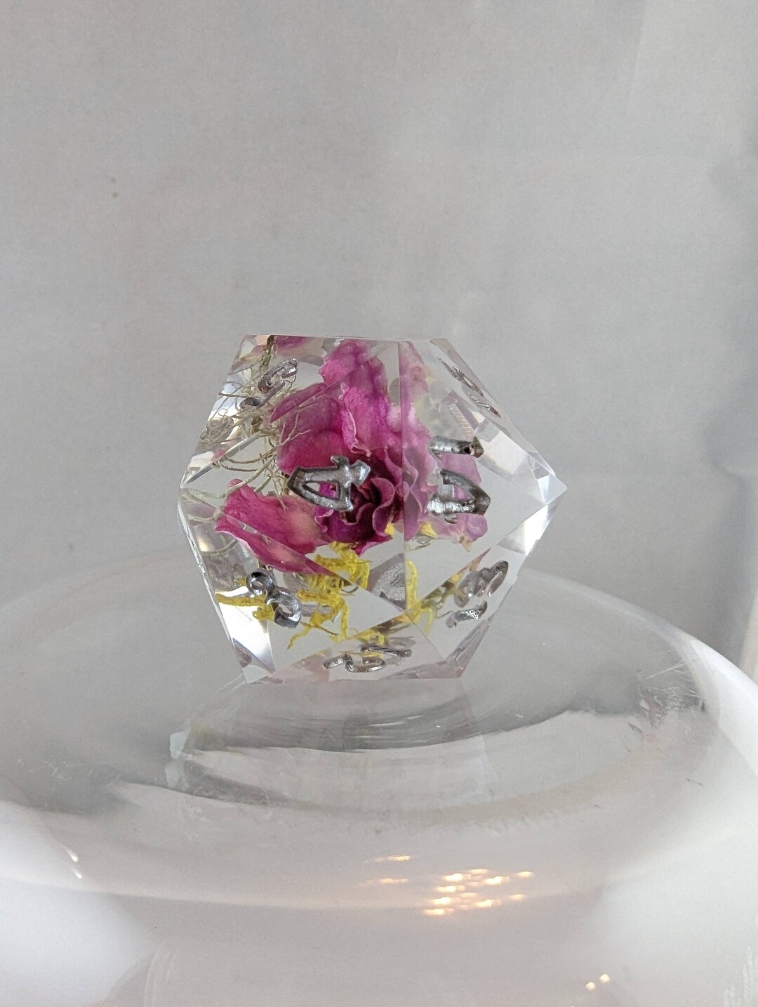 Real Tiny Pink Rose Large Chonky 20 Sided Sharp Edge Dice - Etsy