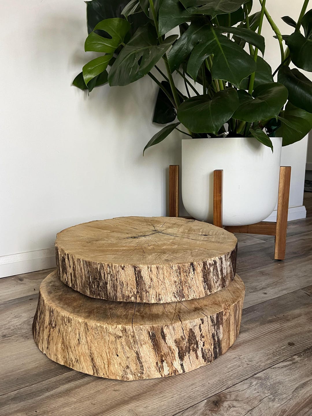 Large Round Live Edge Oak Slabs- Naturally Aged and Weathered- Sold ...