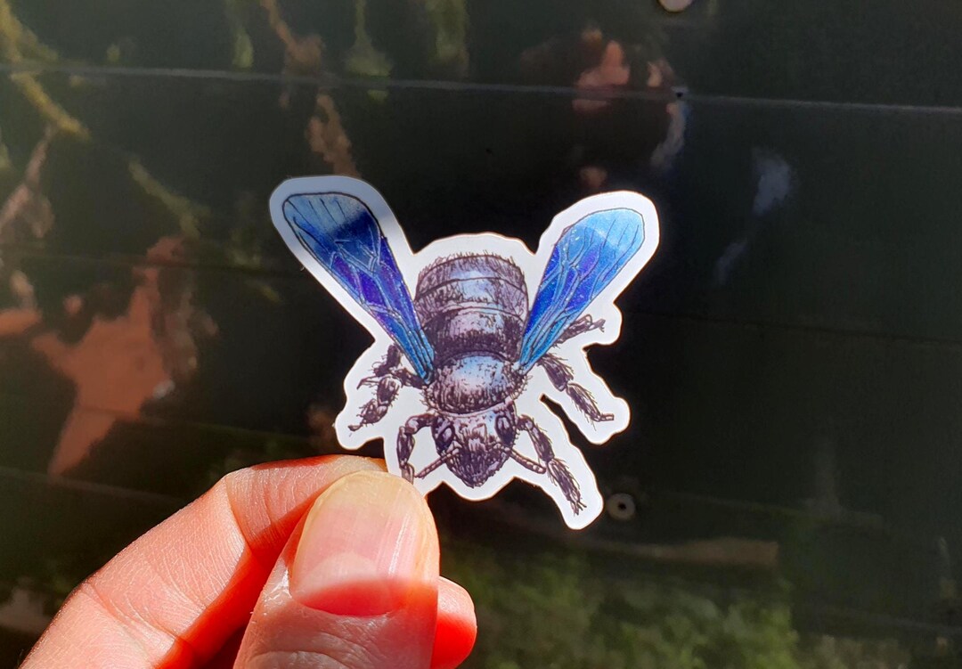 Carpenter Bee Sticker | Shiny Vinyl Sticker | 4.6 X 5 Cm - Etsy