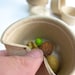 10 Natural Munchie Cups Great for Foraging Parrot Toys and Bird Toy ...