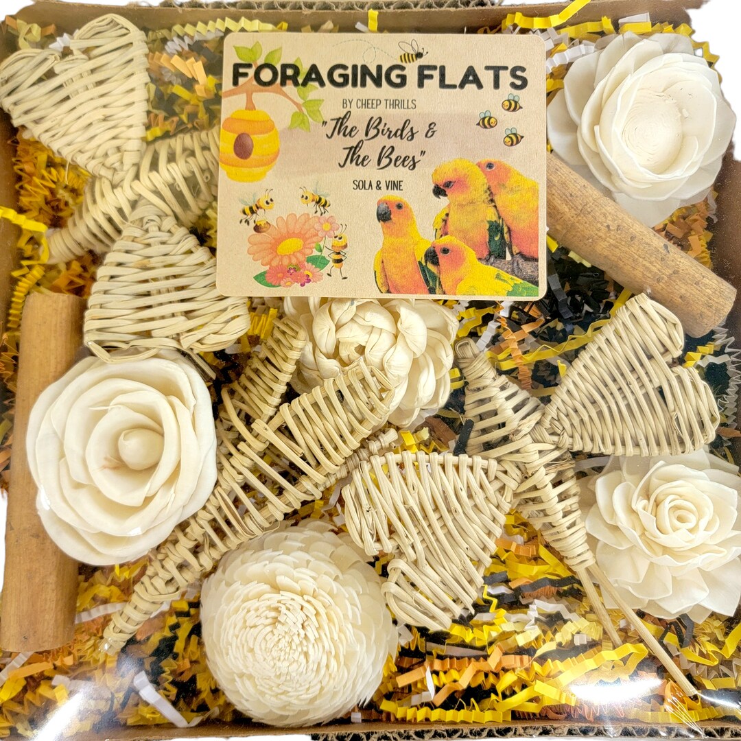 BYOT Foraging Flat - "the Birds & the Bees" - With Sola and Vine ...