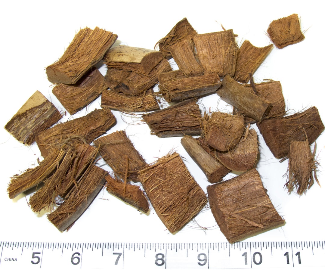 2 Oz - Natural Coconut Husk Pieces - Talon Toys for Birds - Crafting ...