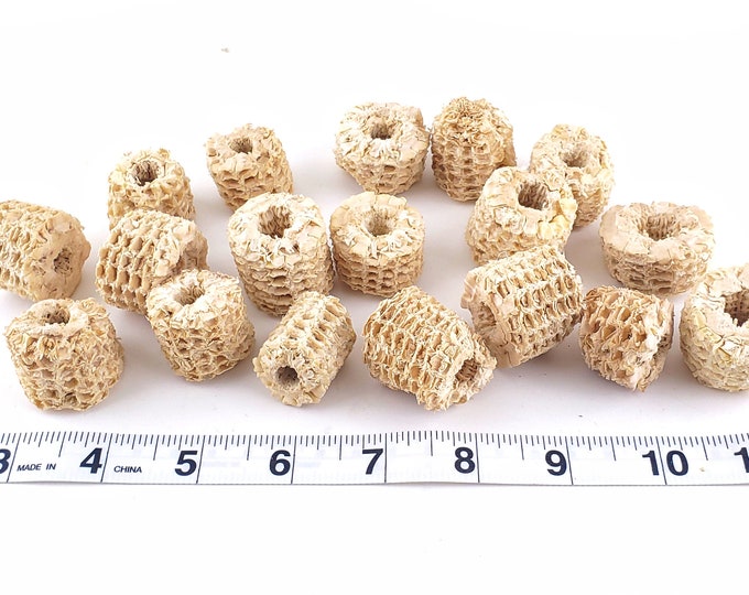 Natural Corn Cob Nuggets 10 Pack Parrot Toys and Bird Toy Parts by A ...