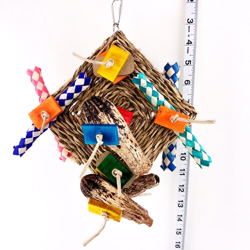 Foraging Fun Box by Cheep Thrills Bird Toys - Etsy