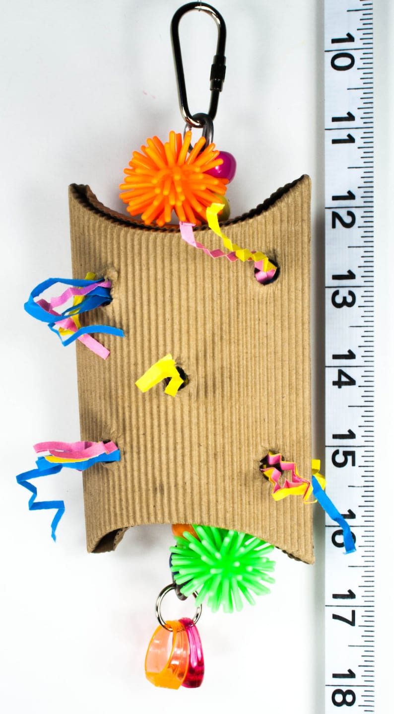 Foraging Fun Box by Cheep Thrills Bird Toys - Etsy