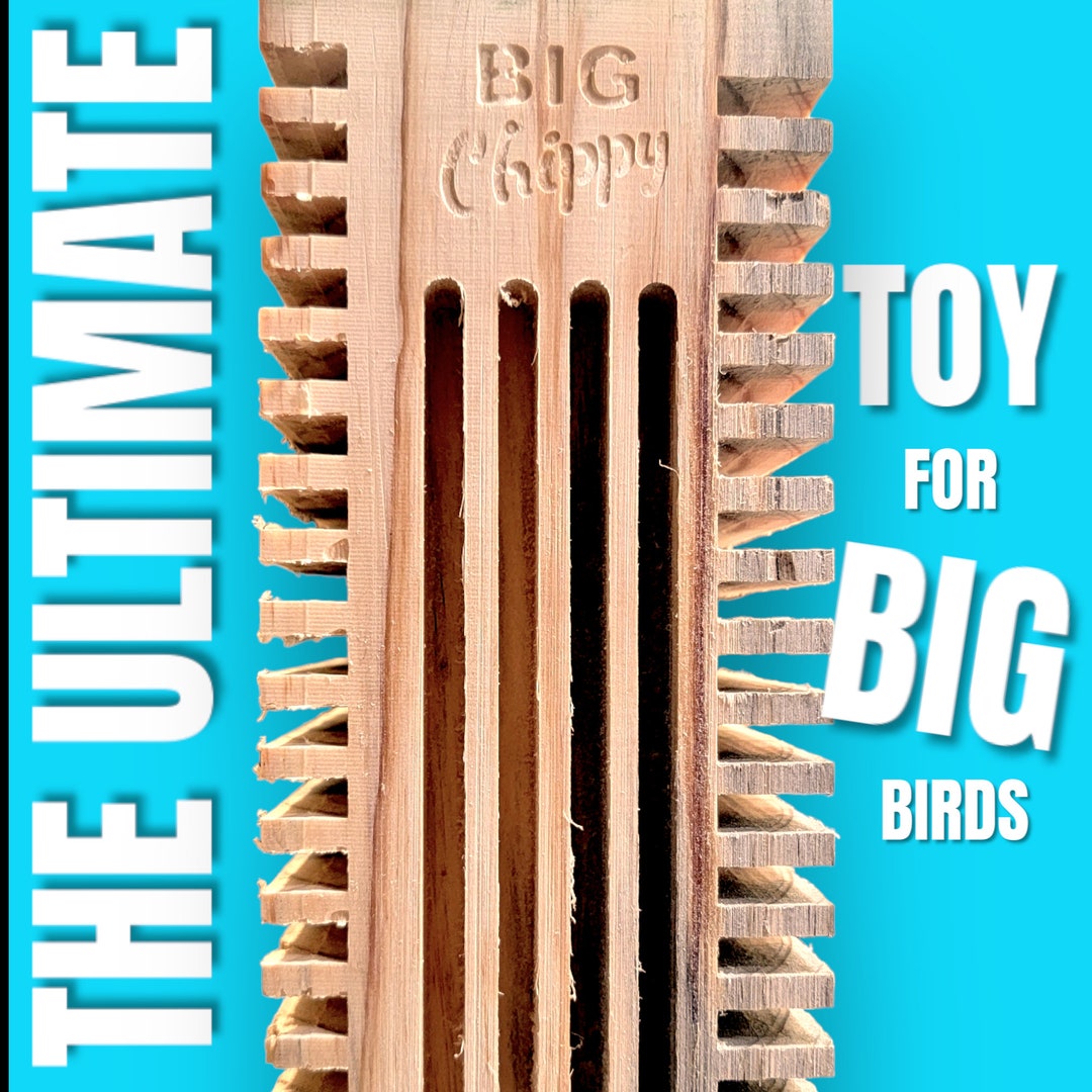 Big Chippy - the Ultimate Toy for Big Birds, Parrots, African Grey ...