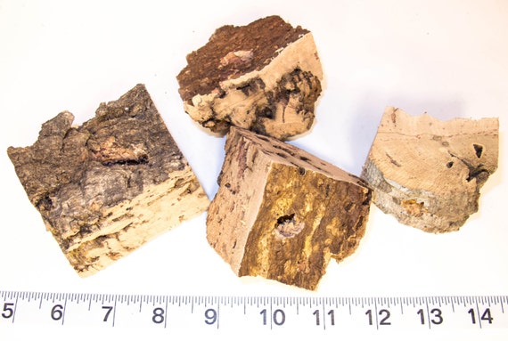 10 Pack Natural Cork Chunks With Hole Parrot Toys and Bird - Etsy