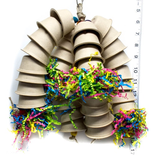 Foraging Fun Box by Cheep Thrills Bird Toys - Etsy