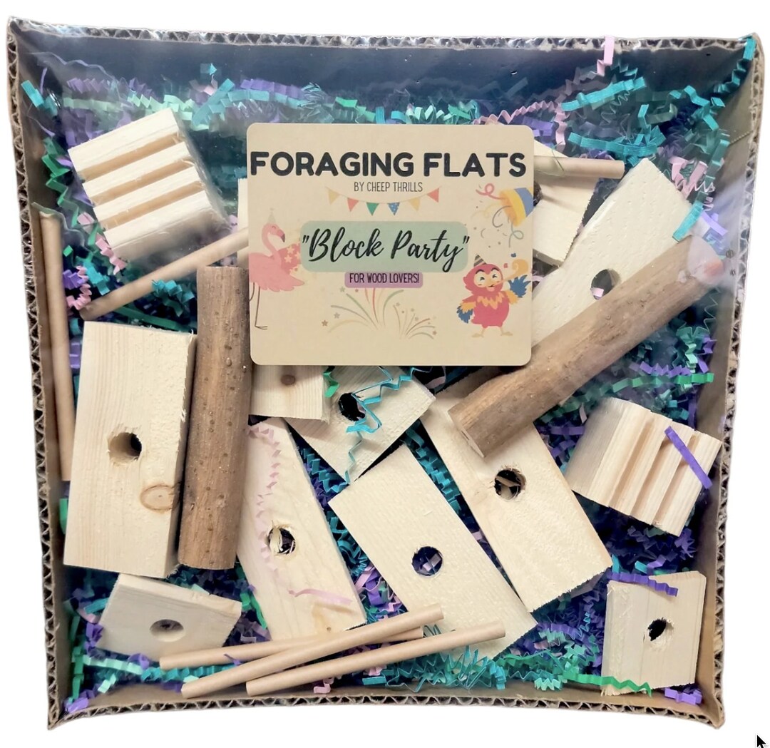 BYOT Foraging Flat - "block Party" - Interactive, Pre-made Foraging ...