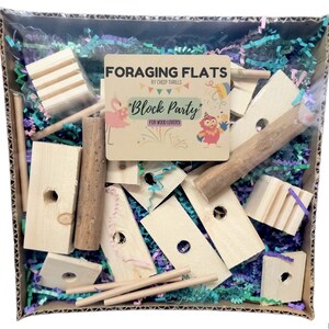 BYOT Foraging Flat - "block Party" - Interactive, Pre-made Foraging ...