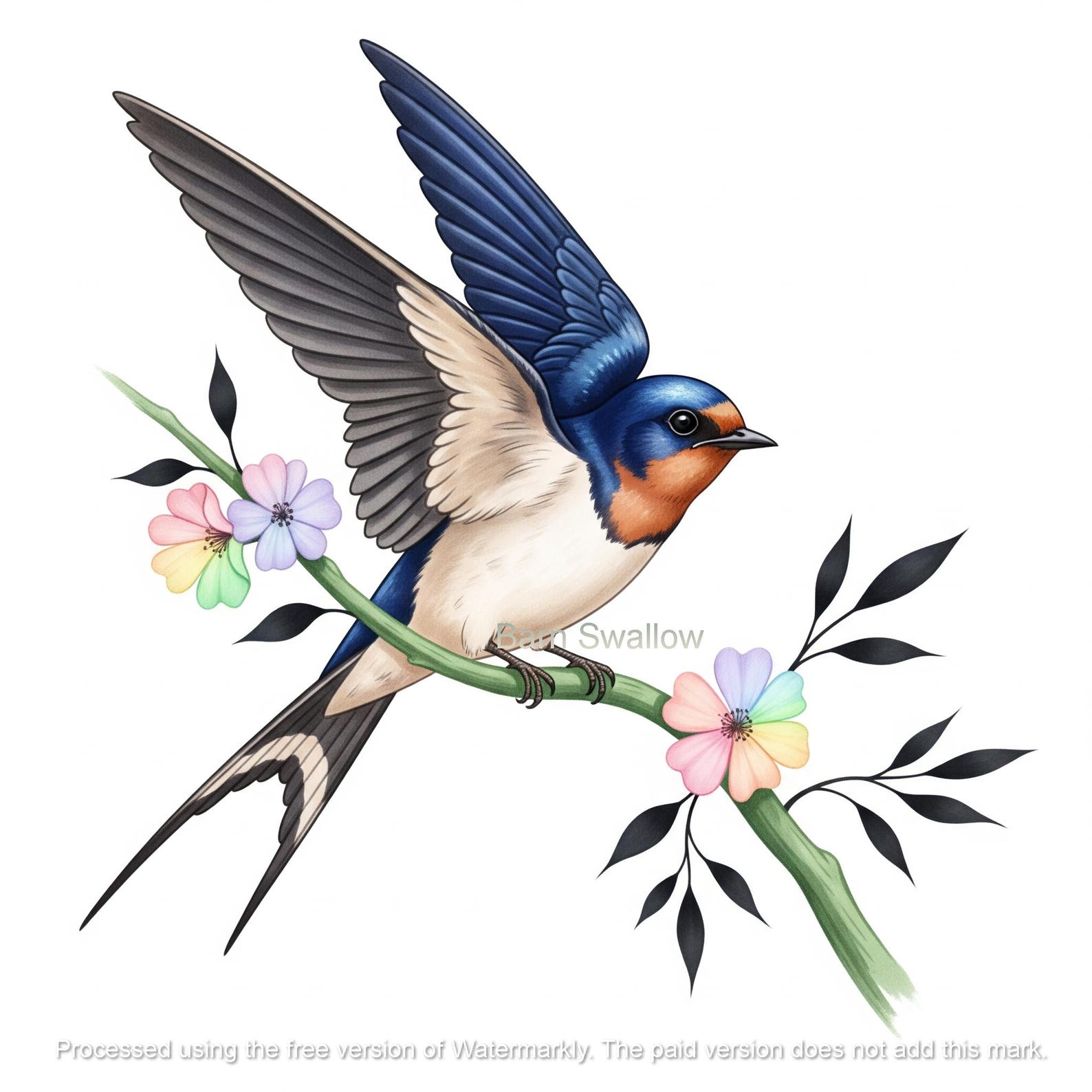 Barn Swallow Clipart PNG | Flying Bird Illustration | Rustic Wildlife ...