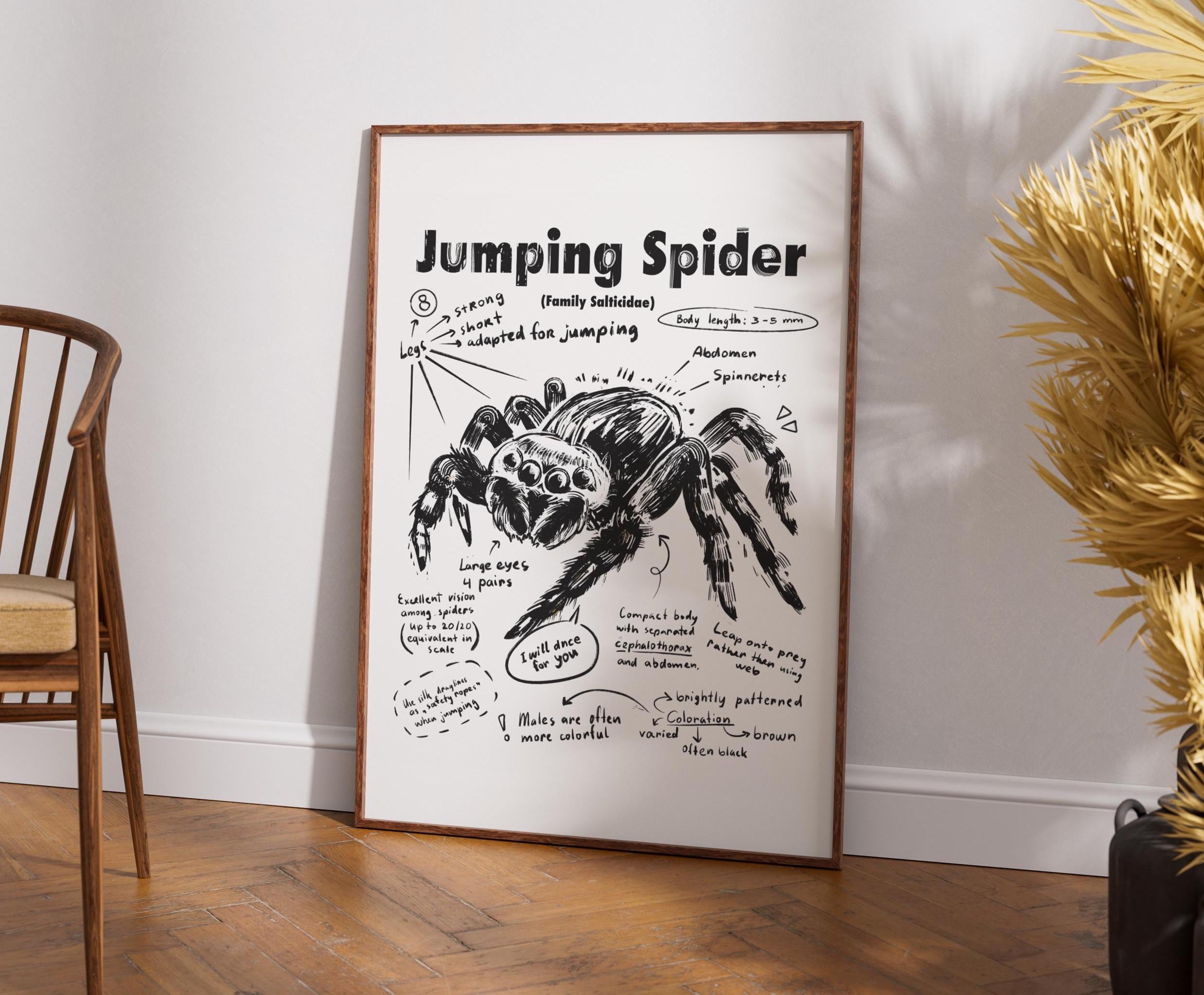 Jumping Spider Halloween Wall Print (digital Download) | Creepy Poster ...