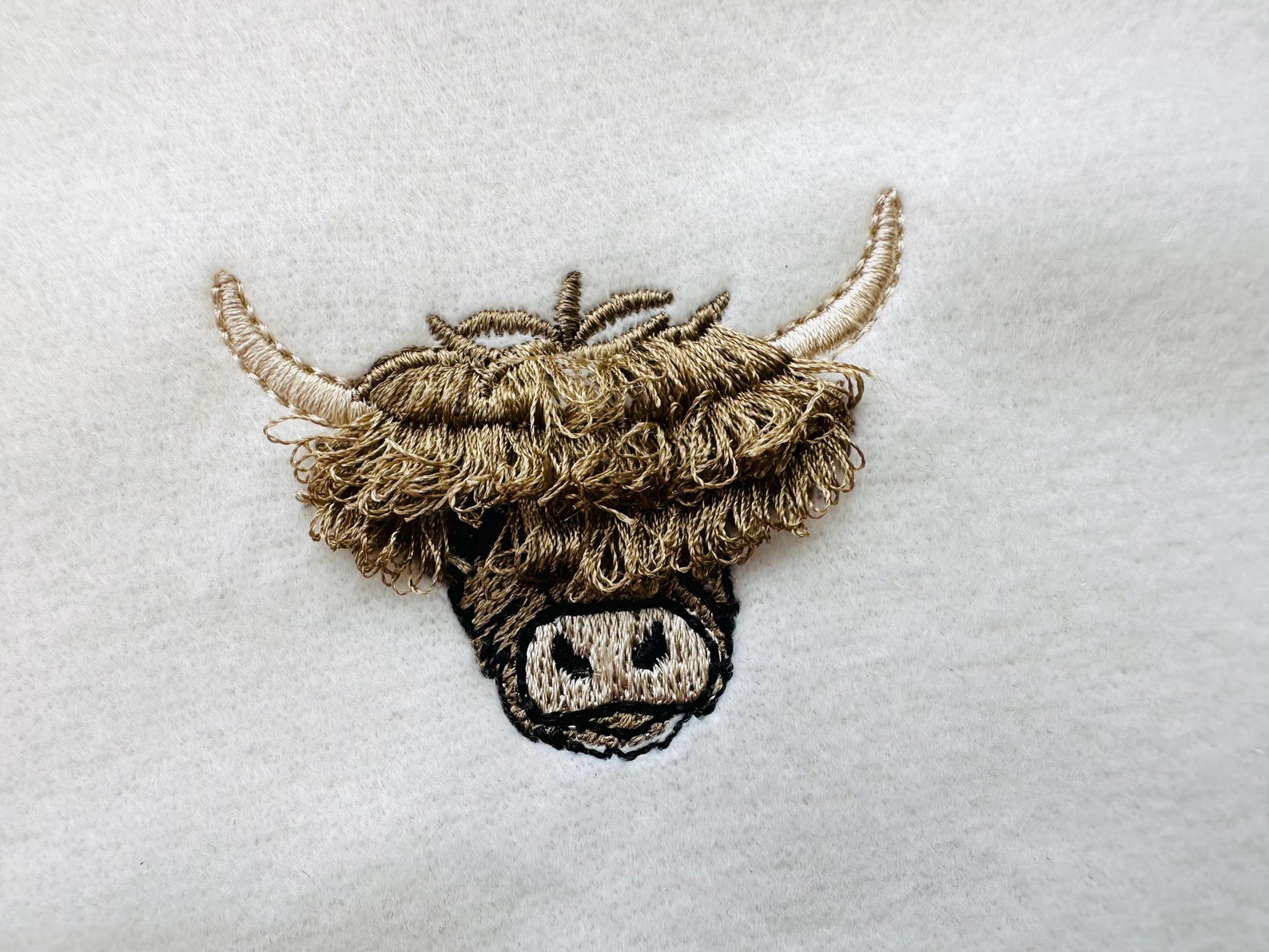 Mini Highland Cow Fringed Fluffy Fur Hair Scottish Breed Rustic Cattle ...