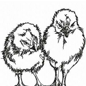 Easter Chick Drawing Silhouette Fluffy Chicks Line Art Sketch Light ...