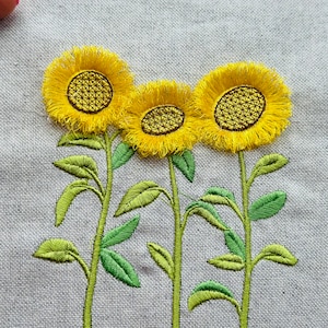 Three Sunflowers Fringed Flower Stems Fluffy Fringe Sunflower Many ...