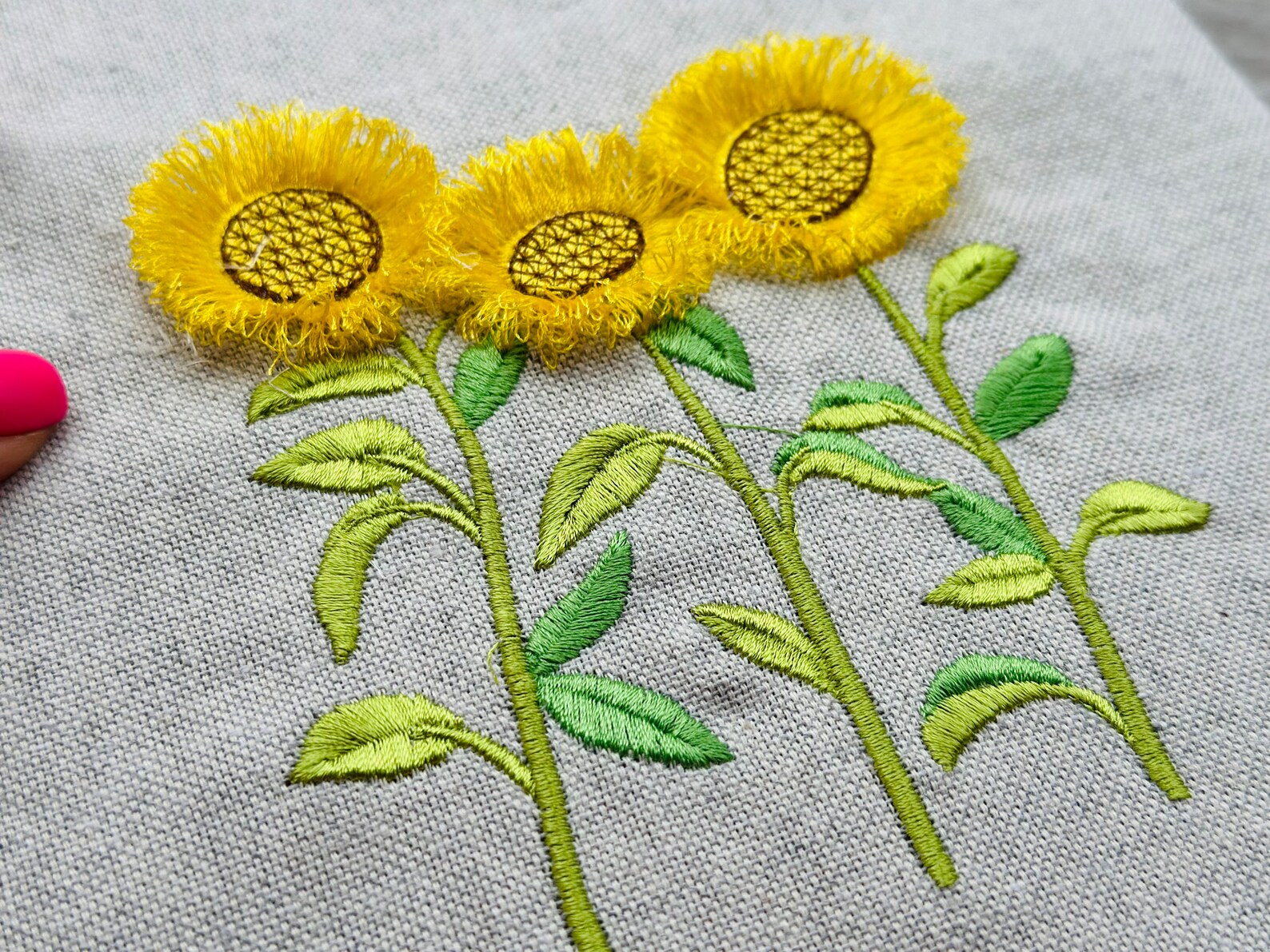 Three Sunflowers Fringed Flower Stems Fluffy Fringe Sunflower Many ...