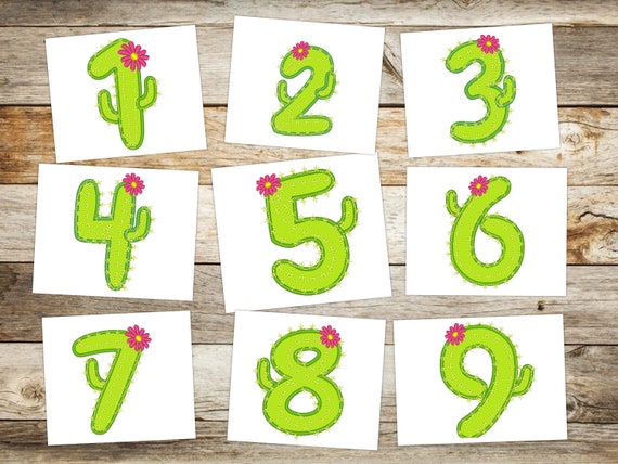 Cute Cactus Numbers Set Birthday Numbers Machine Embroidery - Etsy