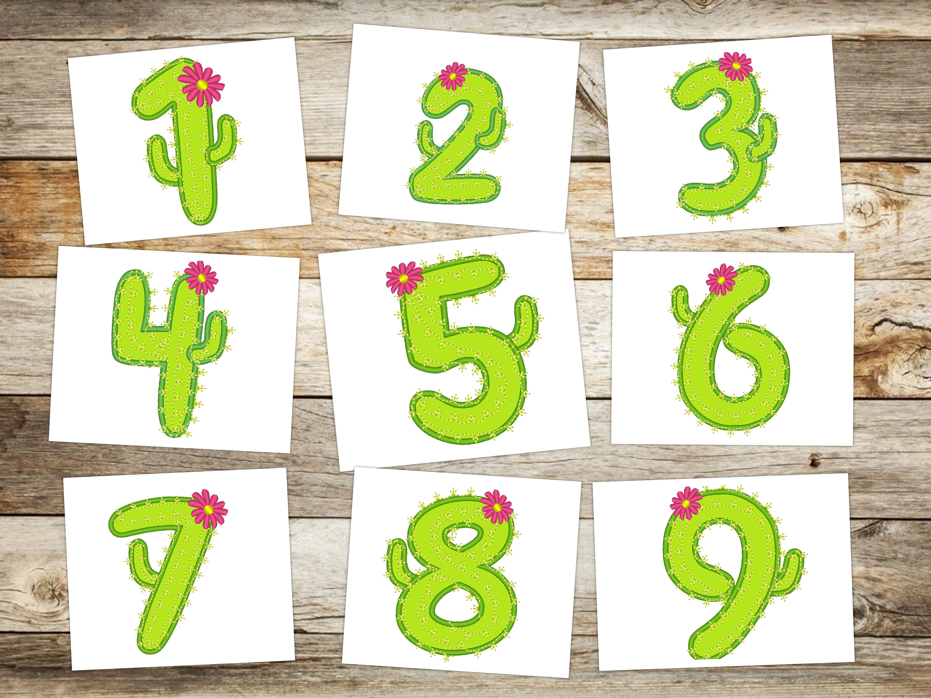 Cute Cactus Numbers Set Birthday Numbers Machine Embroidery - Etsy