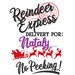 Reindeer Express Christmas Sack Stamp Machine Embroidery Designs ...