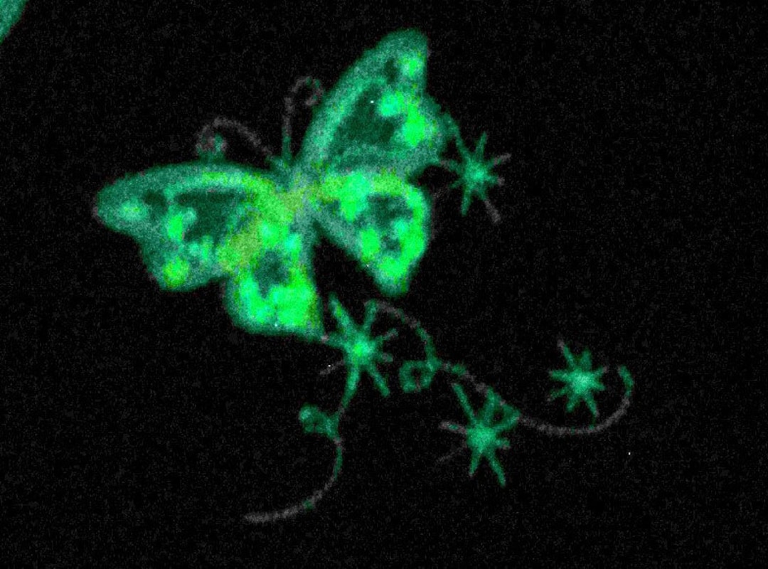 Awesome Butterfly Glow in the Dark Special Glowing Thread Machine ...