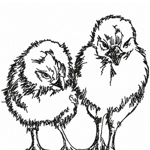 Easter Chick Drawing Silhouette Fluffy Chicks Line Art Sketch Light ...