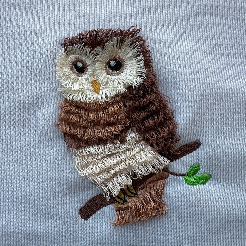 Owl Embroidery Design - Etsy