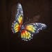 Butterfly With Shadow, Awesome Like Real Butterfly Embroidery Design ...