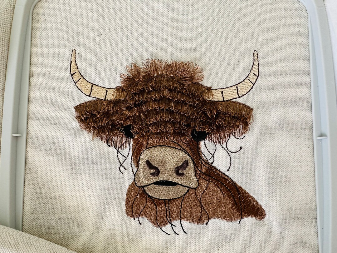 Big 2023 Fringed Highland Cattle Cow Scottish Breed Rustic Cattle ...