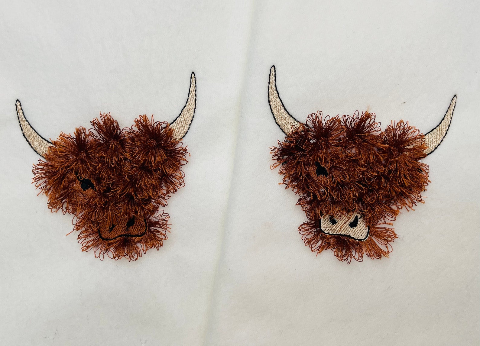 Fringed Highland Cattle Cow Scottish Breed Rustic Cattle - Etsy
