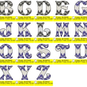 Lace Split Delicate Letters Font - Monogram Split Letters and Mini Font ...