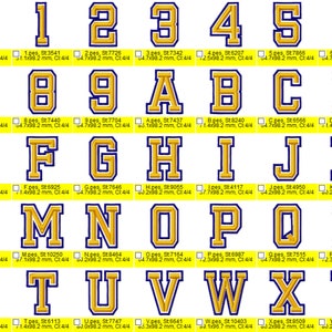 Double Two Stitch Applique Athletic Sport High School Team Players ...