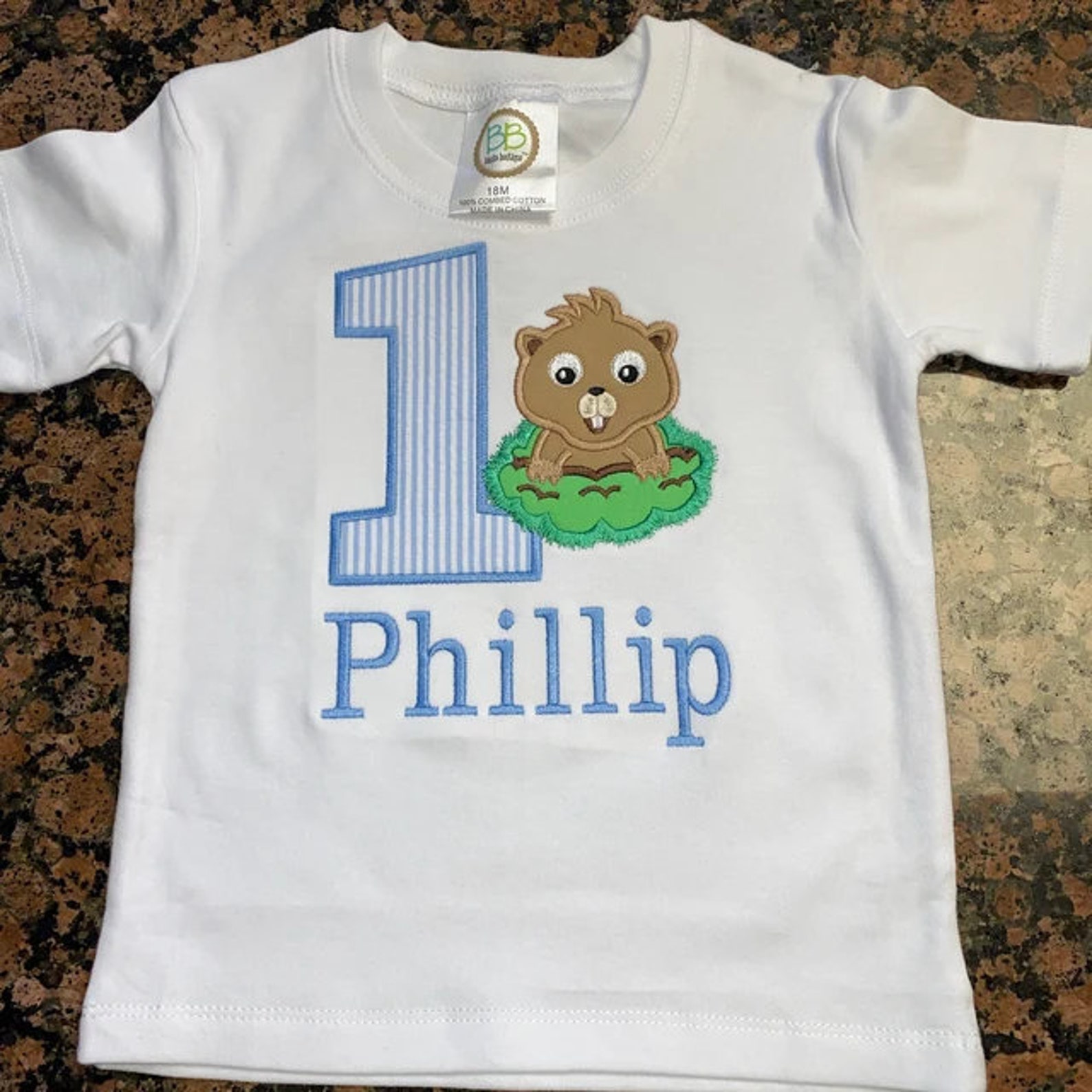 Bold Block Wide Satin Stitch Numbers, Birthday Number Applique Machine ...