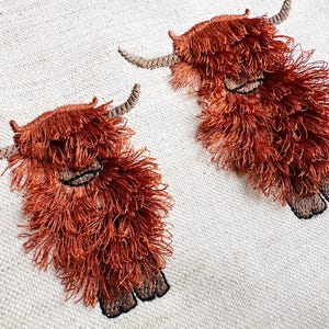 Longhorn Fringe Highland Cattle Cow Scottish Breed Rustic Cattle ...