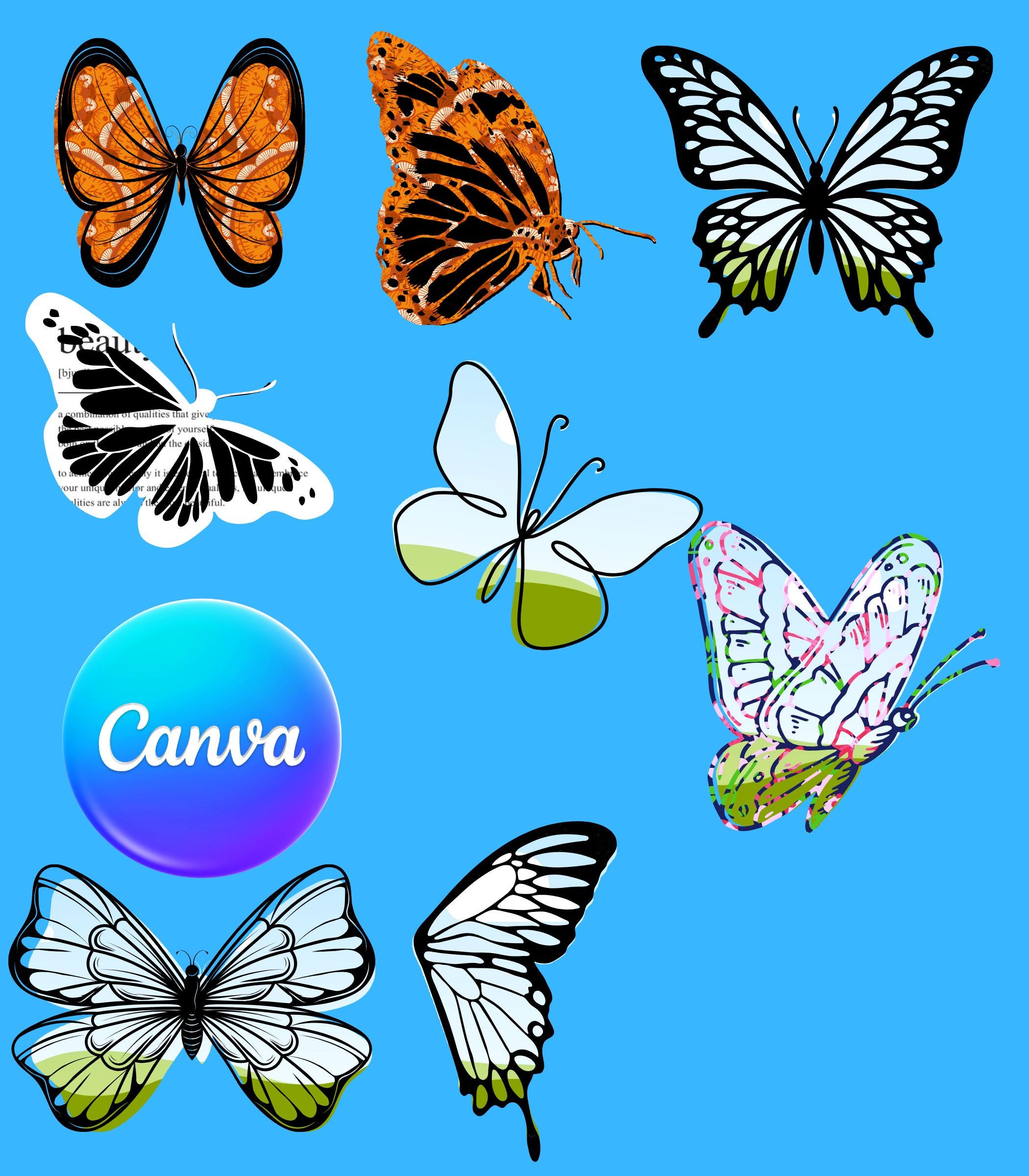 Butterfly Frame PNG, Canva Frame Elements, Colorful Butterfly Clipart ...