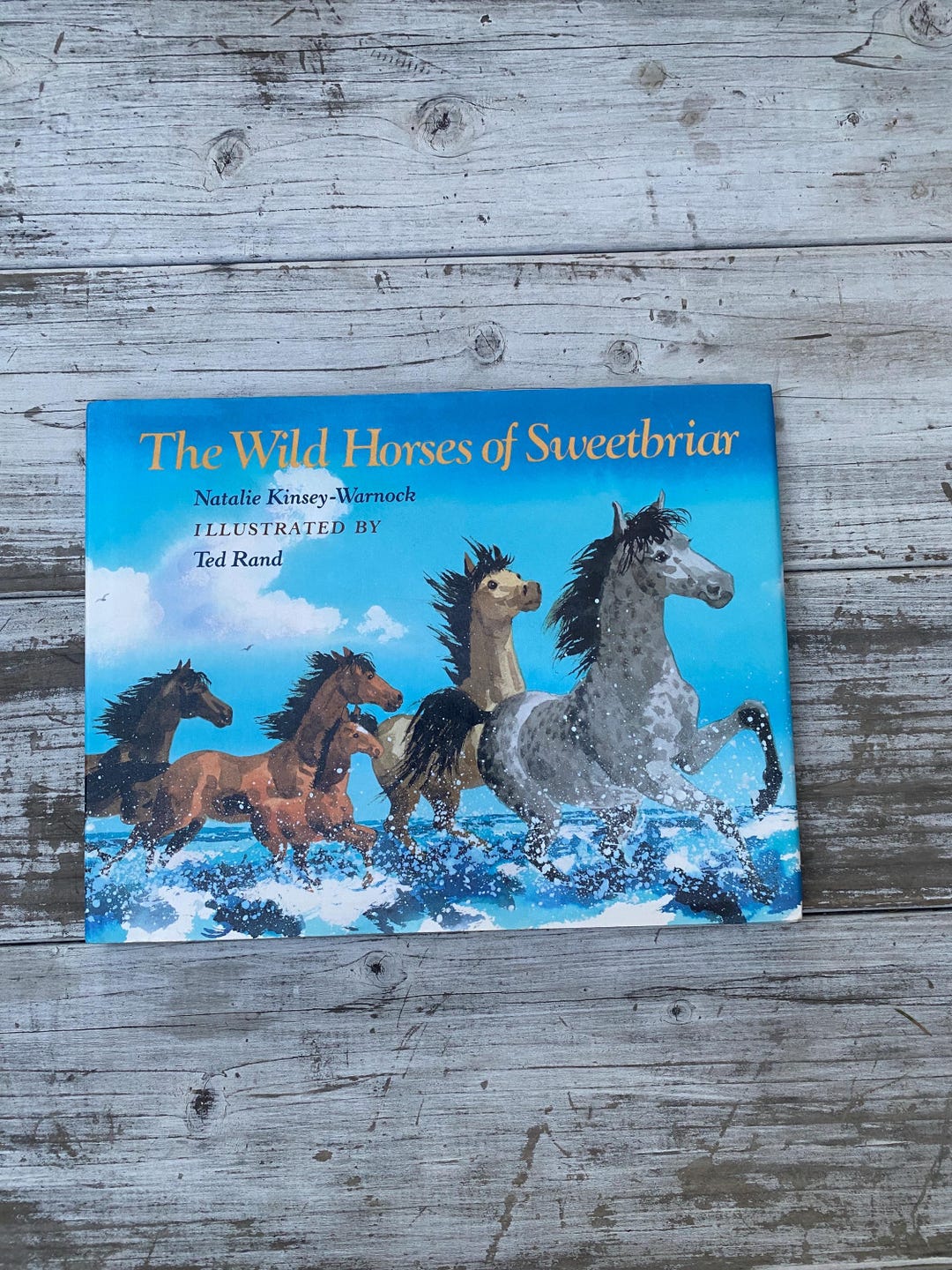 Vintage the Wild Horses of Sweetbriar Book - Etsy