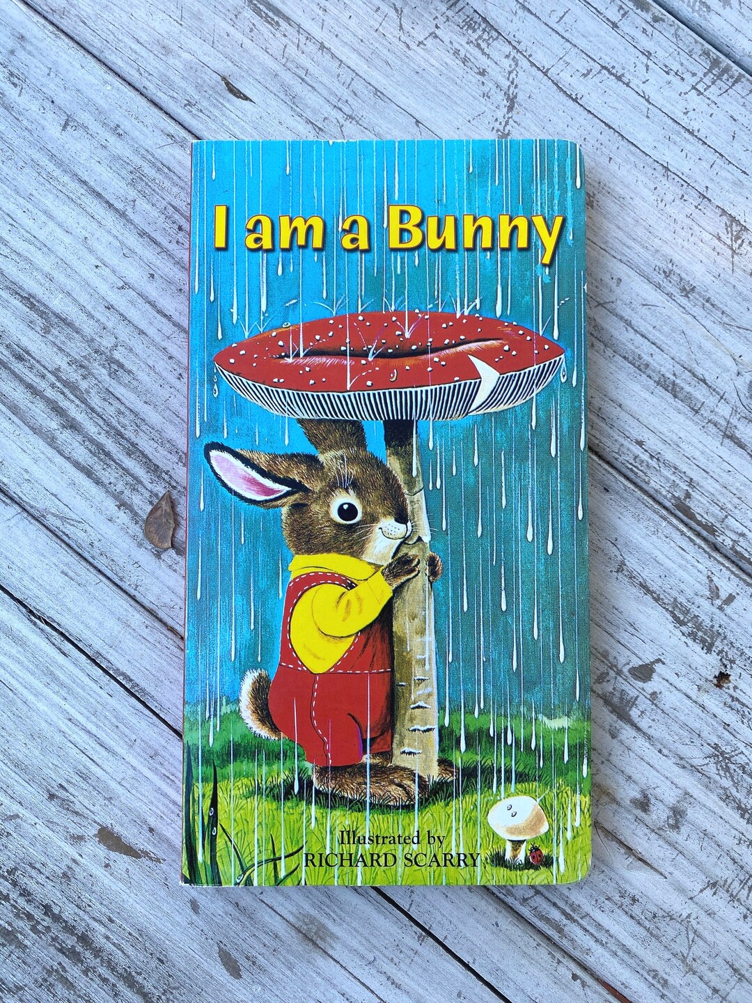 Vintage I Am Bunny Richard Scarry Book - Etsy