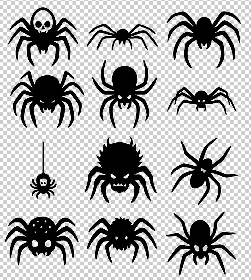 Halloween Spider Clipart, Spooky Vector Graphics (digital Download) - Etsy