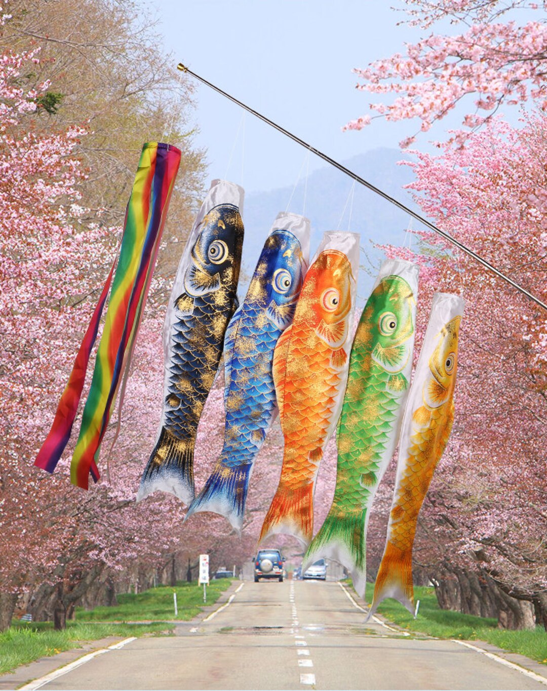 Set of Traditional Japanese Carp Flags With Gold, Japanese Koi Flag ...