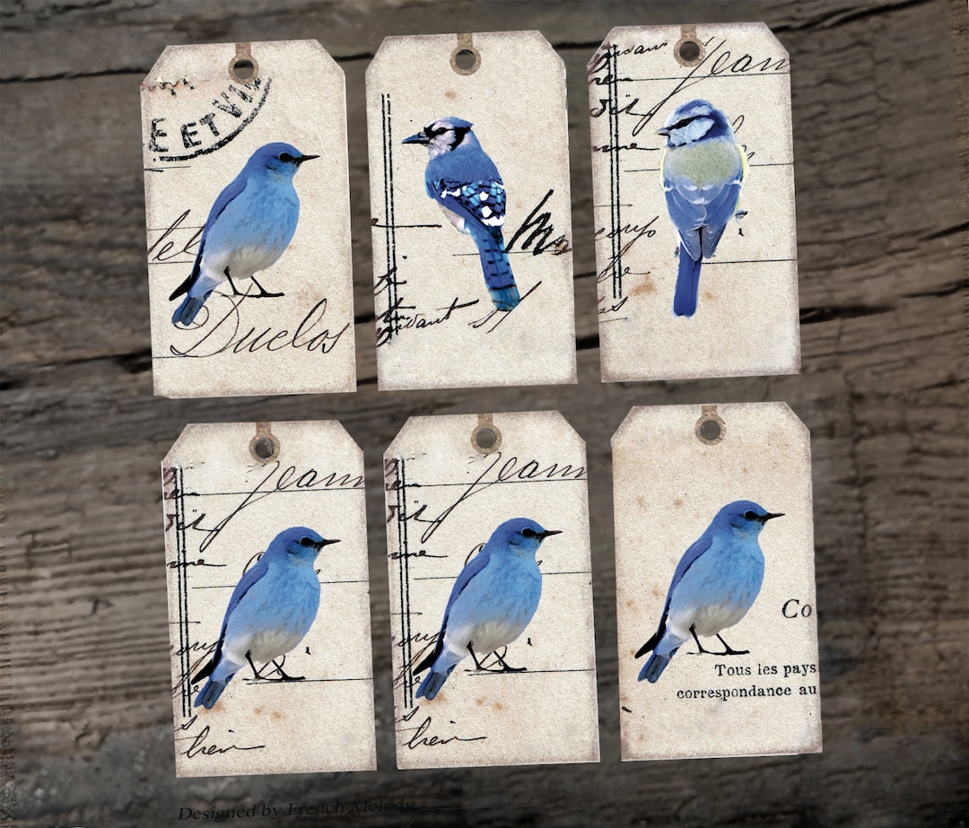 Printable Hang/gift Tags Bird Portrait Collection 3 - Etsy