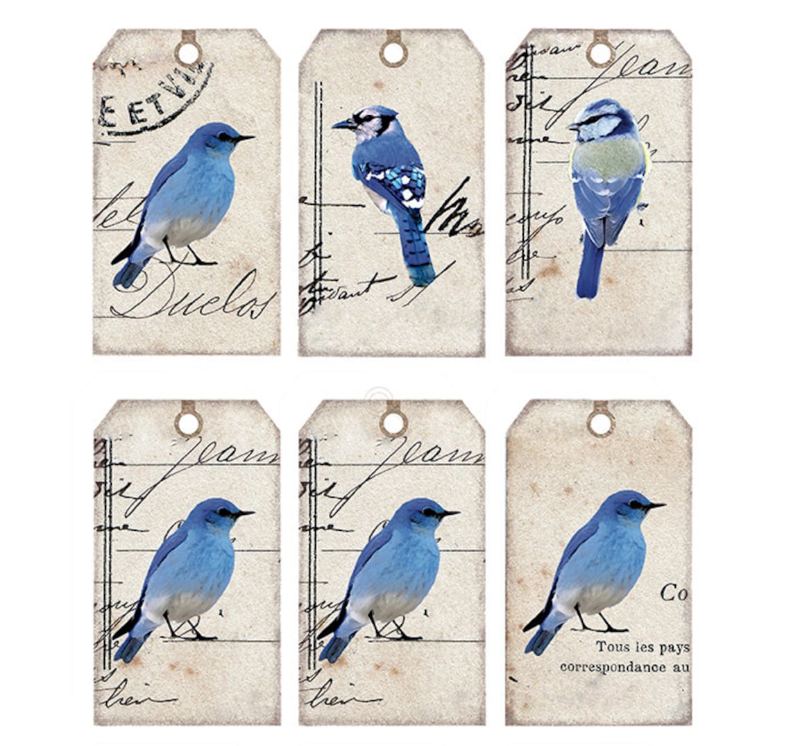 Printable Hang/gift Tags Bird Portrait Collection 3 - Etsy