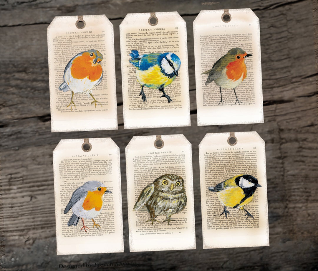 Printable Bird Hang/gift Tags Bird Portrait Collection -3 Differents ...