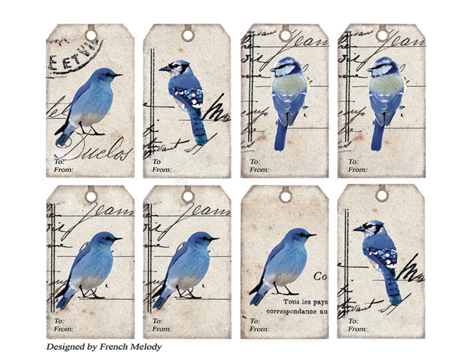 Printable Hang/gift Tags Bird Portrait Collection 3 - Etsy