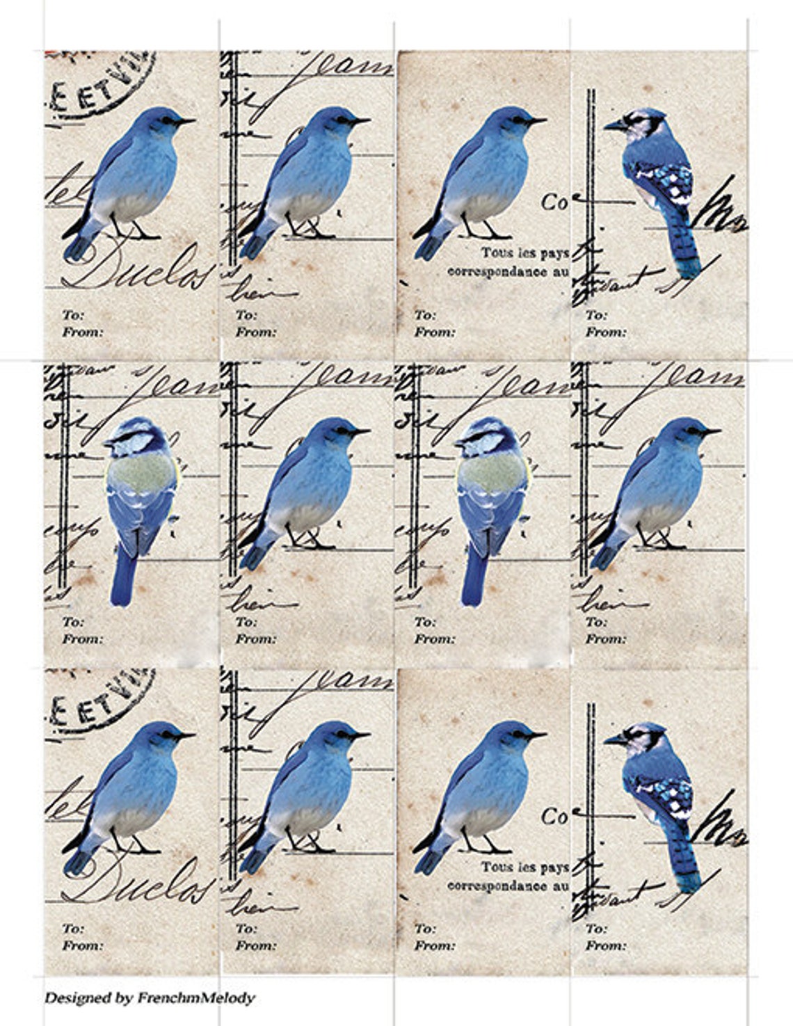 Printable Hang/gift Tags Bird Portrait Collection 3 | Etsy