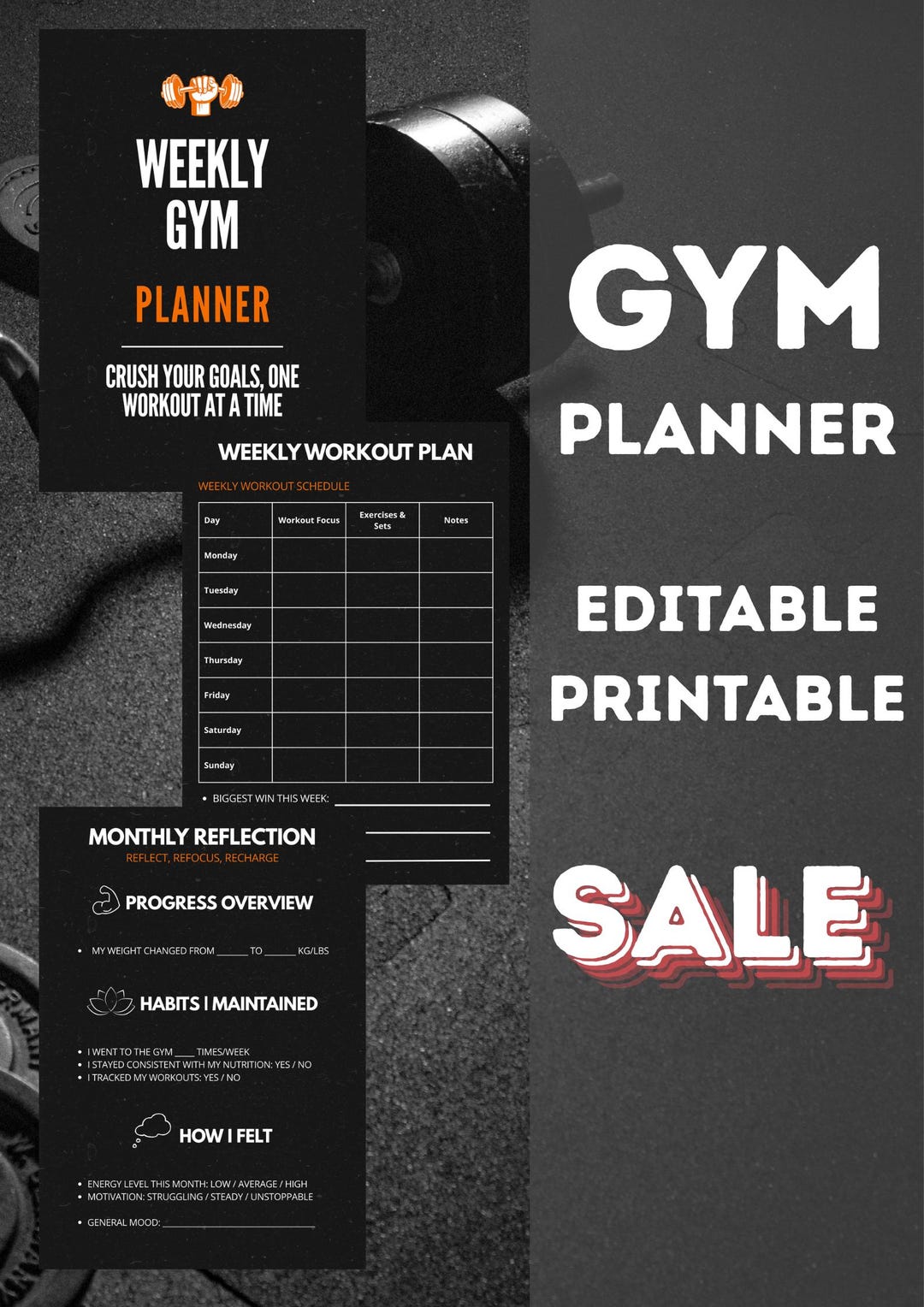 Digital Weekly Gym Planner, Health Journal for iPad Goodnotes, Workout ...