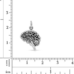 Sterling Silver Brain Charm With 5mm Soldered Ring 1pc 7686/1 - Etsy
